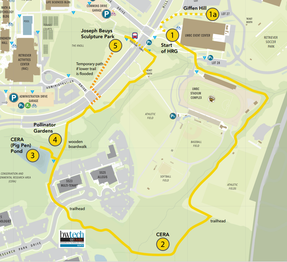 The Herbert Run Greenway – UMBC